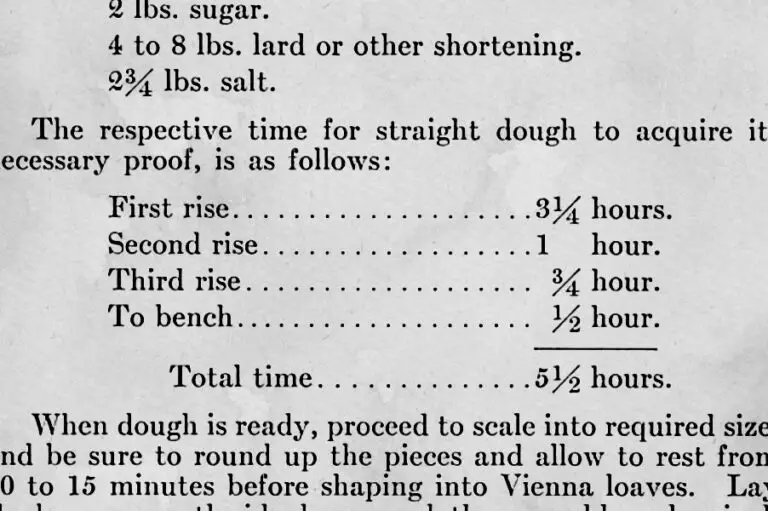 How Many Times Can You Knock Back Yeasted Dough? – Knead Rise Bake