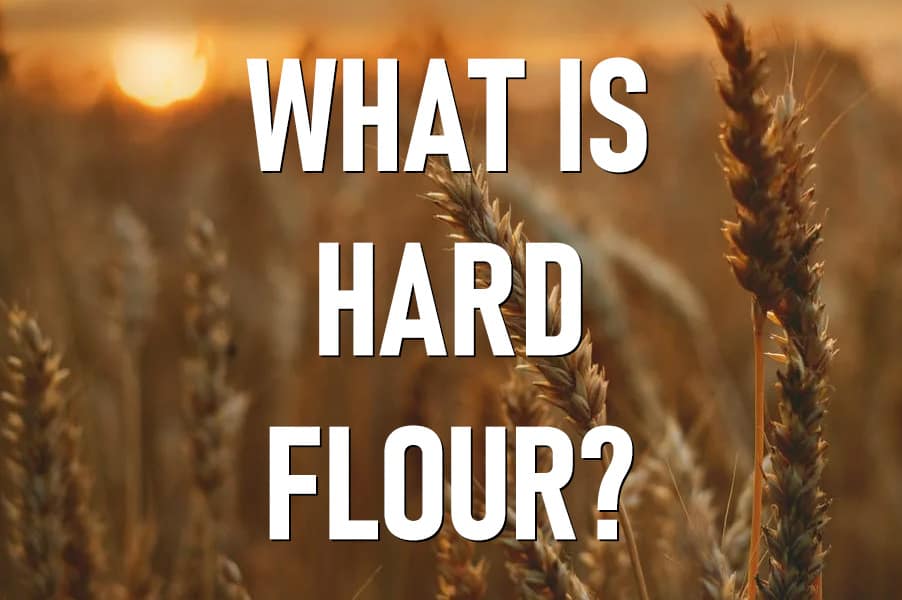What Is Hard Flour Knead Rise Bake What Is Hard Flour Knead Rise Bake